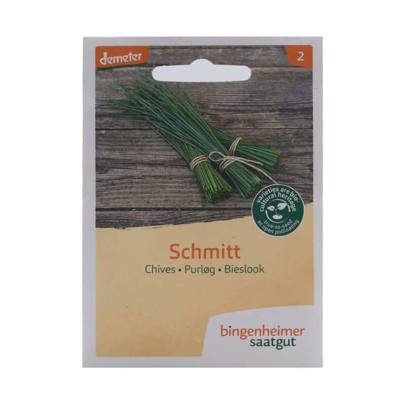 Bieslook zaaigoed bio – Pit&Pit