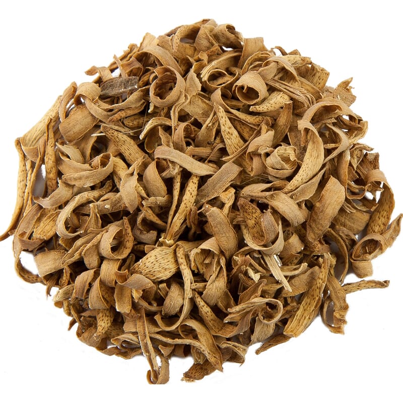 Oranjebloesem – Pit&Pit