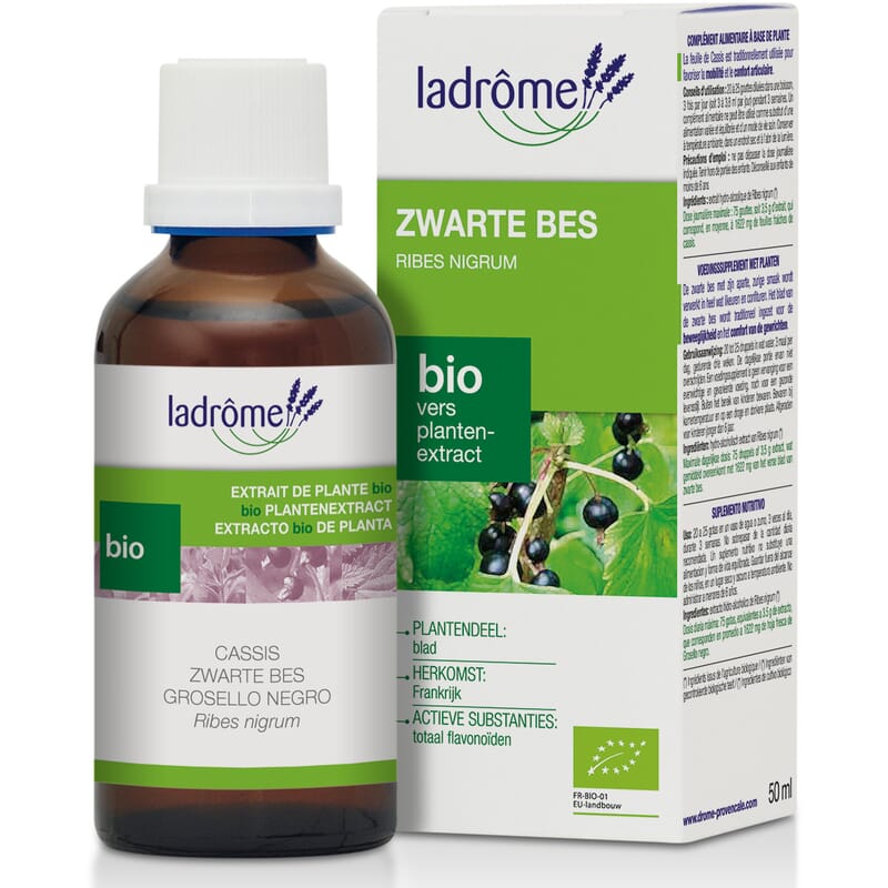 Zwarte bes tinctuur bio – Pit&Pit